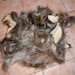 Salvaged Fur Scraps - CHOICE of Species - Red Fox Coyote Raccoon Etc - Etsy