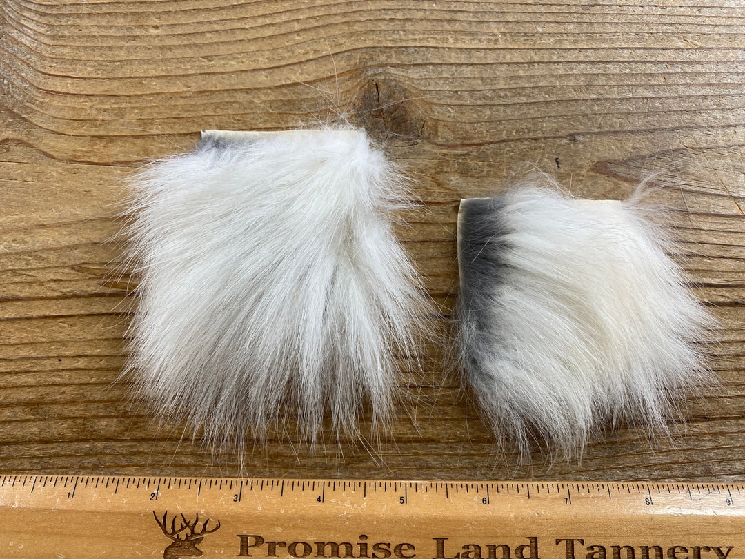 Snowshoe Rabbit Winter Phase Hair on Hide Piece - 2" X 2" - Stock No ...