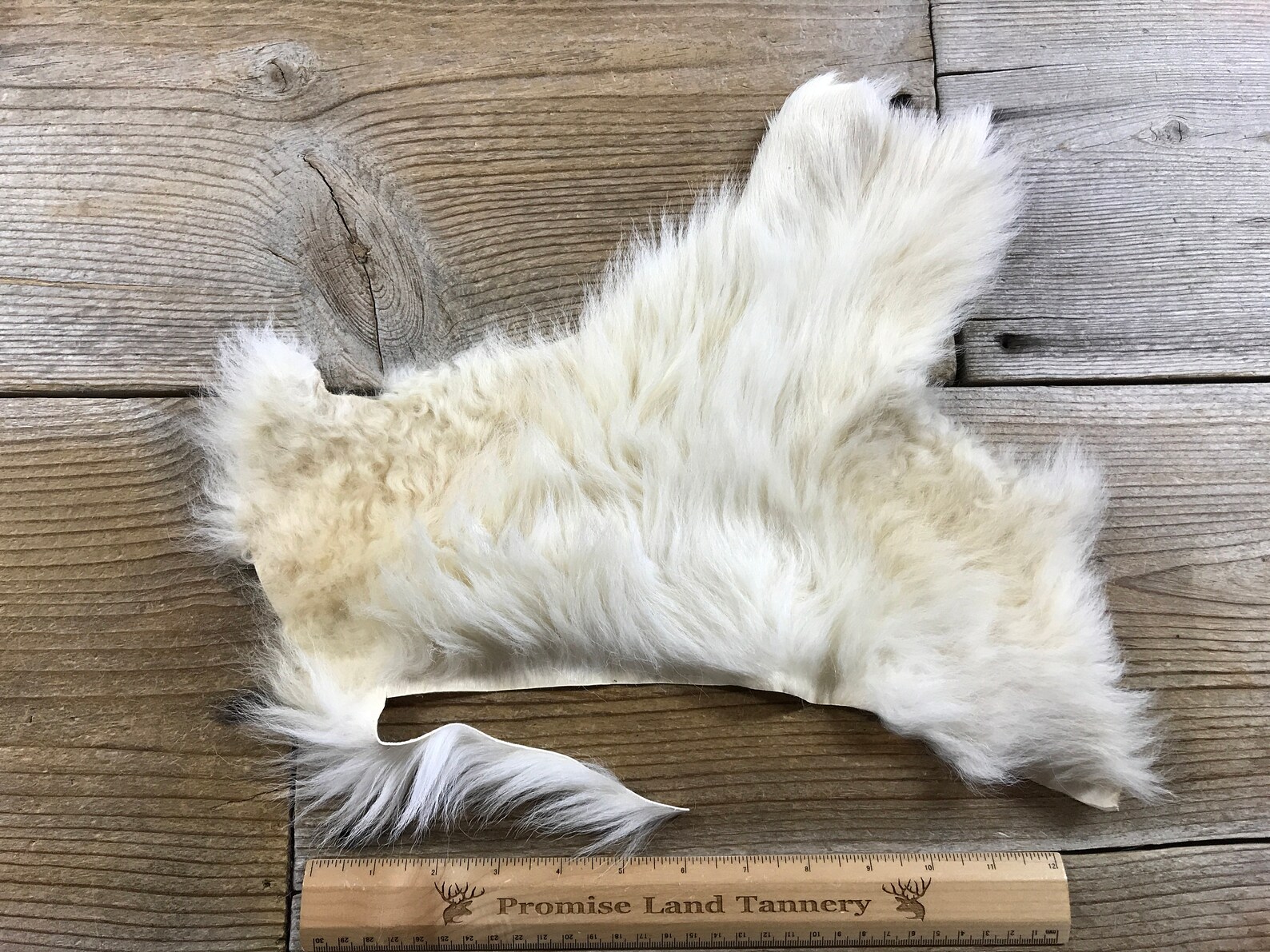 White Calf Hide Fur Piece 11 X 14 Inch Piece Lot No. - Etsy