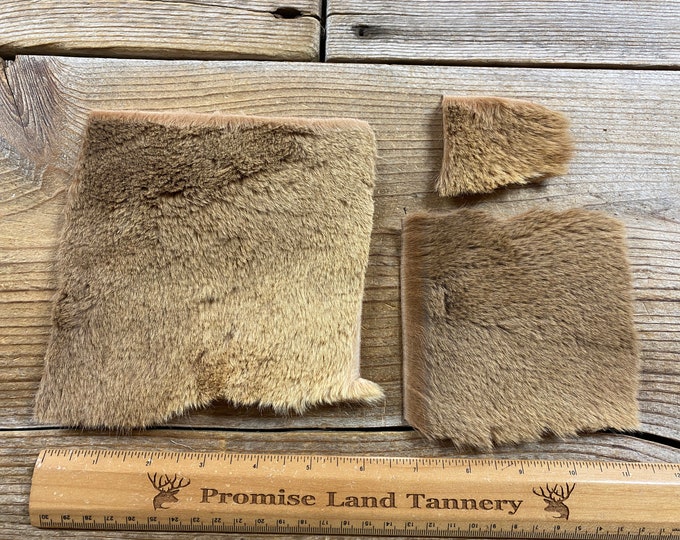 Kangaroo Hair on Hide Piece Choice of Size Stock No. FUR-105 - Etsy Kangaroo Hair on Hide Piece Choice of Size Stock No. FUR-105 - Etsy