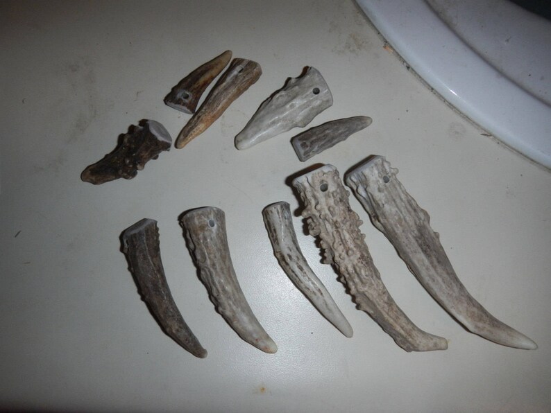 Gnarly Drilled Antler Tips or Points for Pendants Etc - 5 Assorted ...