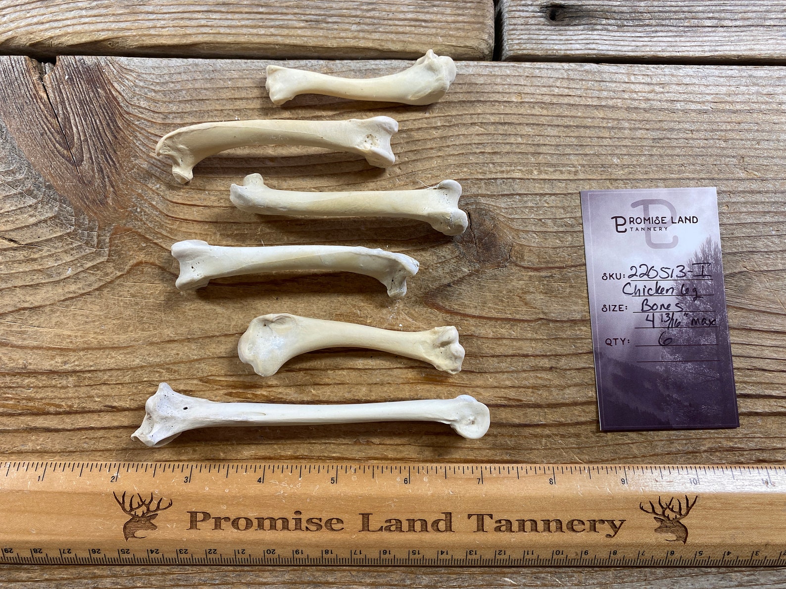 Assorted of Chicken Leg Bones Real Bones Lot No. 220513-I - Etsy