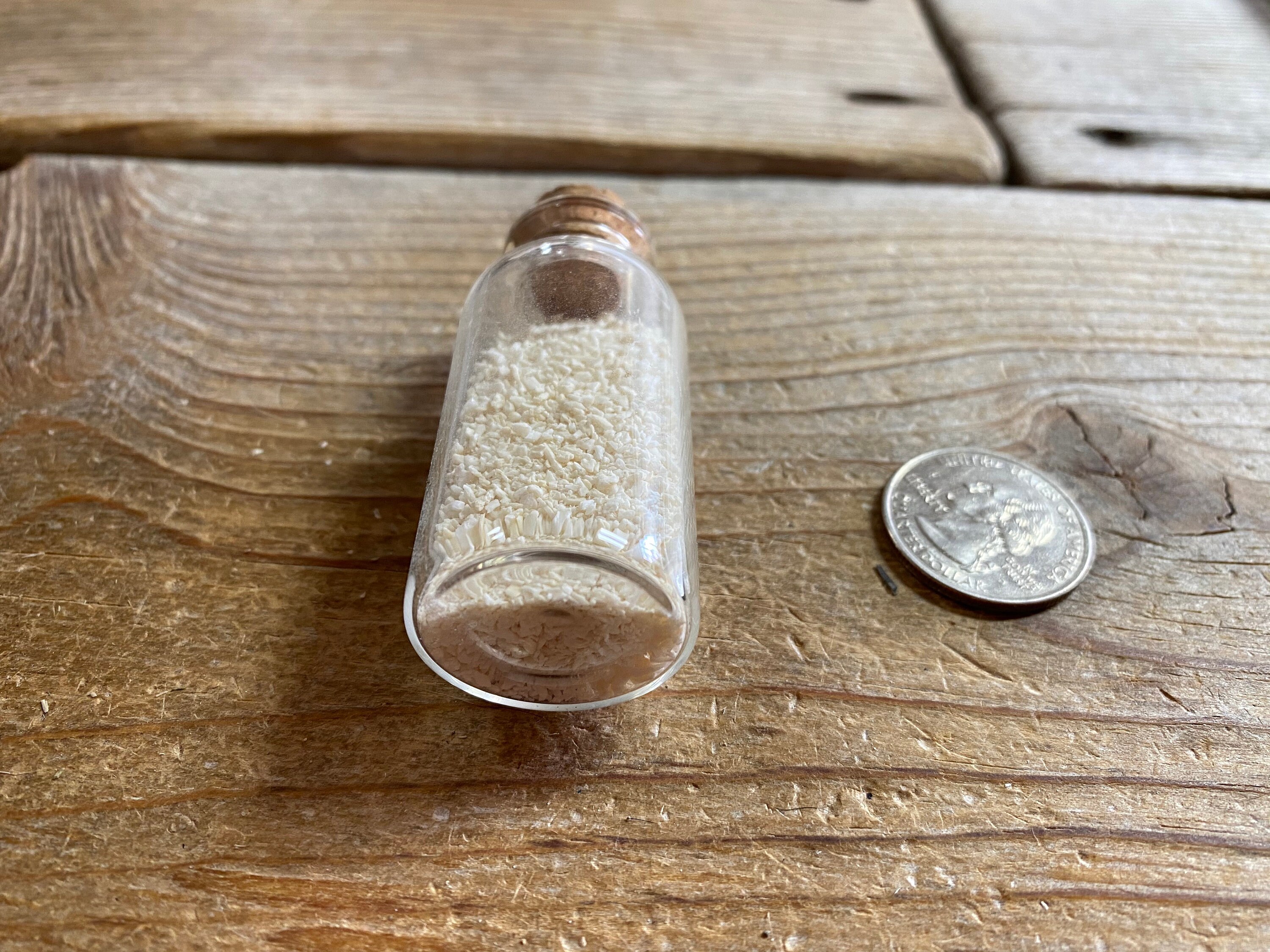 Bone Dust Domestic Rabbit Vial of 10g of Coarse Bone Dust - Etsy