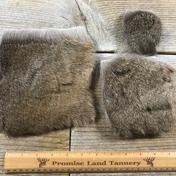 Deer Hide - Etsy