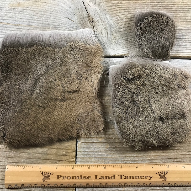 Hair on Deer Hide Scraps - Etsy