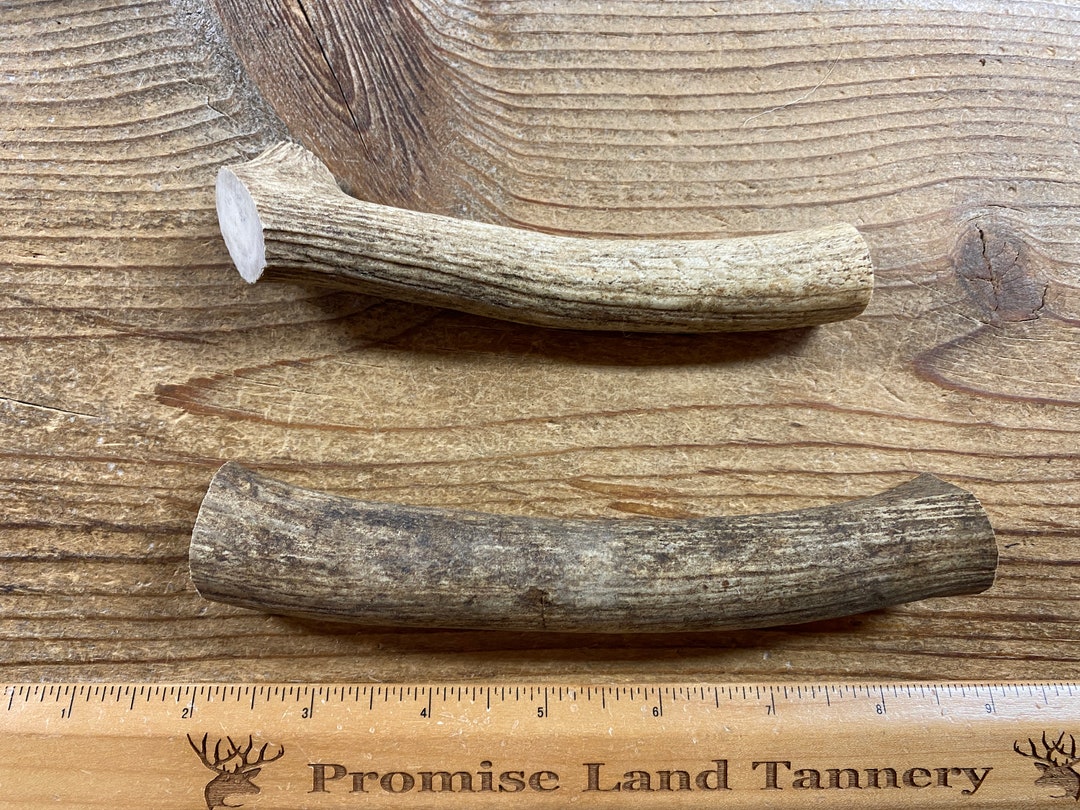 Fallow Deer Antler Pieces for Pen Turning or Lathe Work - Lot No ...