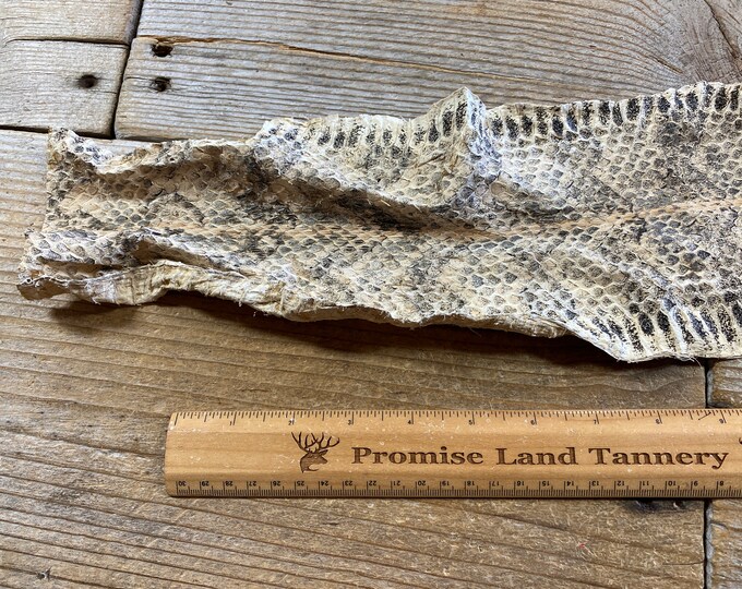 Real Soft Tanned Timber Rattlesnake Skin Lot No. 220303-LL - Etsy