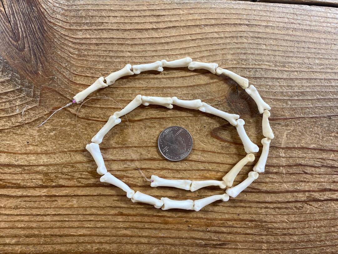 Coyote Toe Bone Beads - 24 Real Bones - Lot No. 240714-DD - Etsy