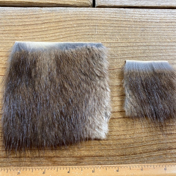 Muskrat Fur - Etsy