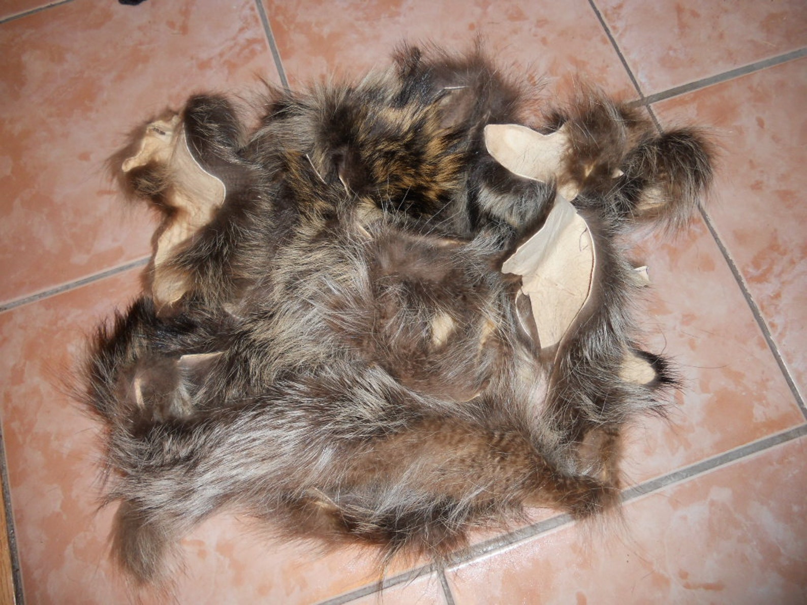 Salvaged Raccoon Fur Scraps Real Fur Pieces Half Pound Bag - Etsy