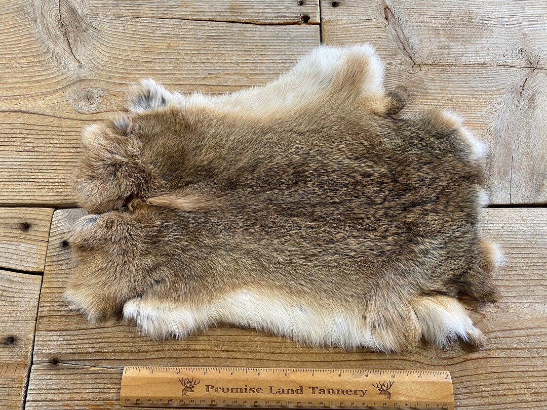 Agouti Brown Rabbit Hide - One Average as Shown - Lot No. 230928-SSS - Etsy