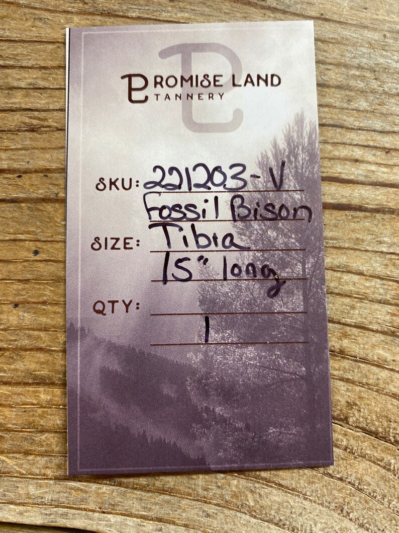 Fossil Bison Tibia Bone - Nebraska - Lot No. 221203-V - Etsy