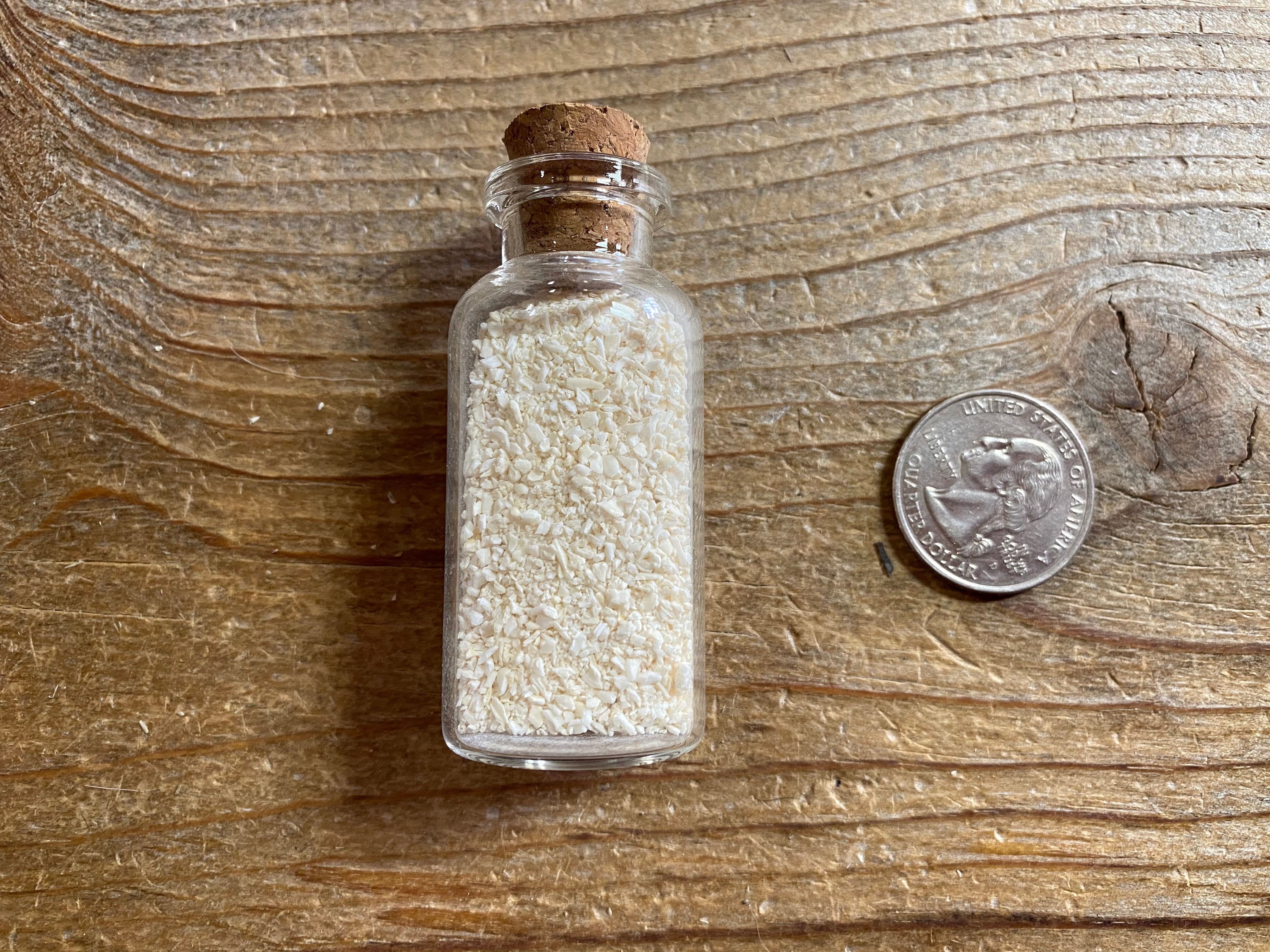Bone Dust - Domestic Rabbit - Vial of 10g of Coarse Bone Dust - Stock ...