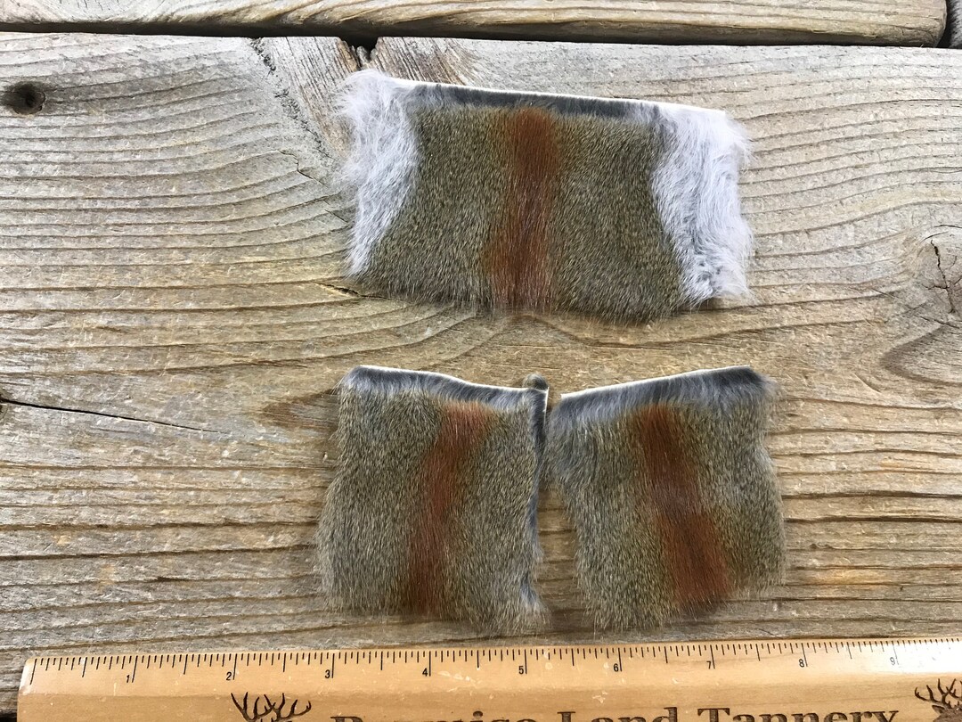 Red Squirrel Hair on Hide Piece - Choice of Size - Stock No. FUR-84R - Etsy