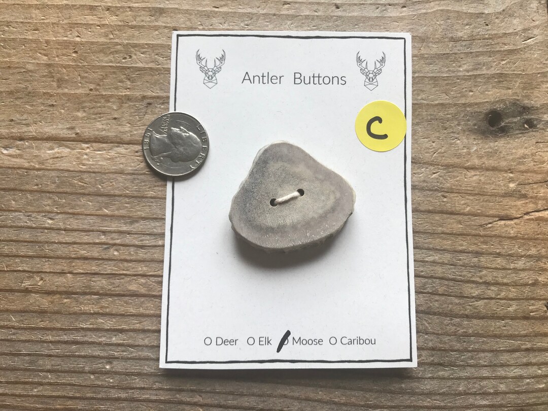 Moose Antler Button - Extra Large to Jumbo Button Lot No. BC200418-C - Etsy