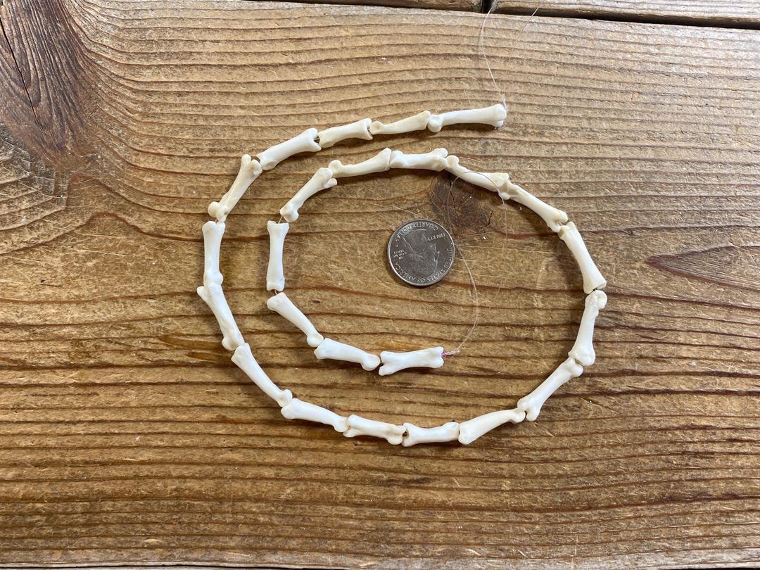 Coyote Toe Bone Beads - 24 Real Bones - Lot No. 240714-FF - Etsy