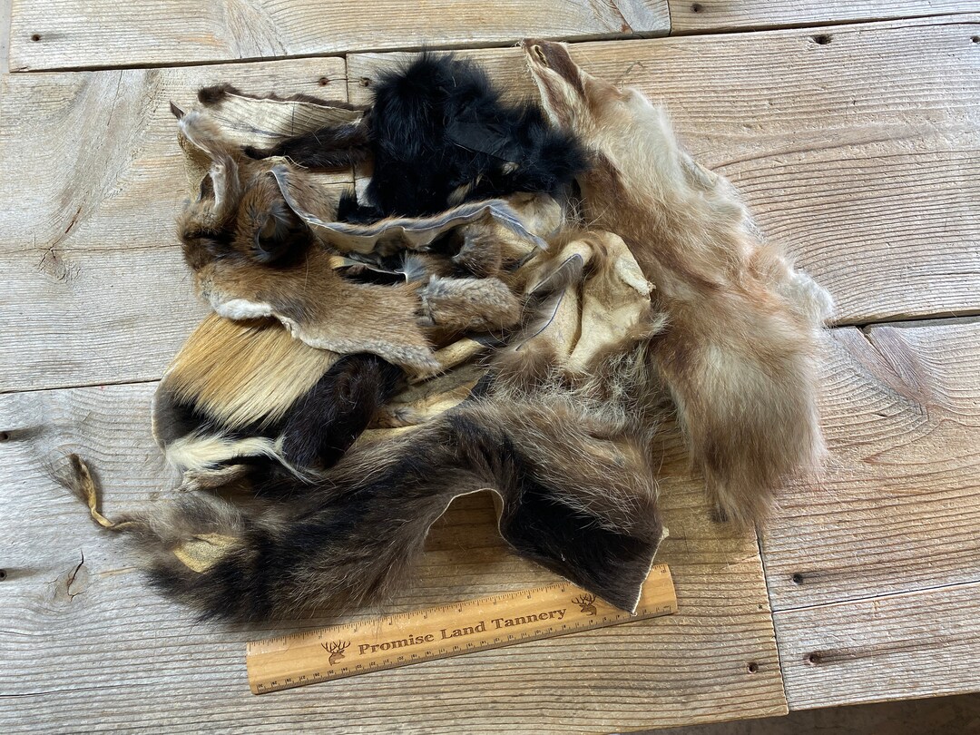 Assorted Fur Scraps Real Fur Pieces Half Pound Bag Lot No. 211114-UUU ...