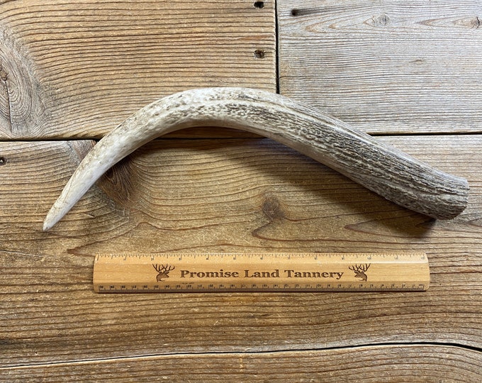 Elk Antler Piece for Knife Handle - Craft Grade - Extra Large - Lot No ...