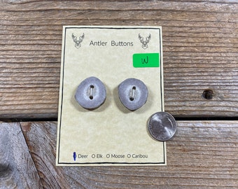 Deer Antler Buttons - Large Buttons -3 Matching Buttons - Lot No ...