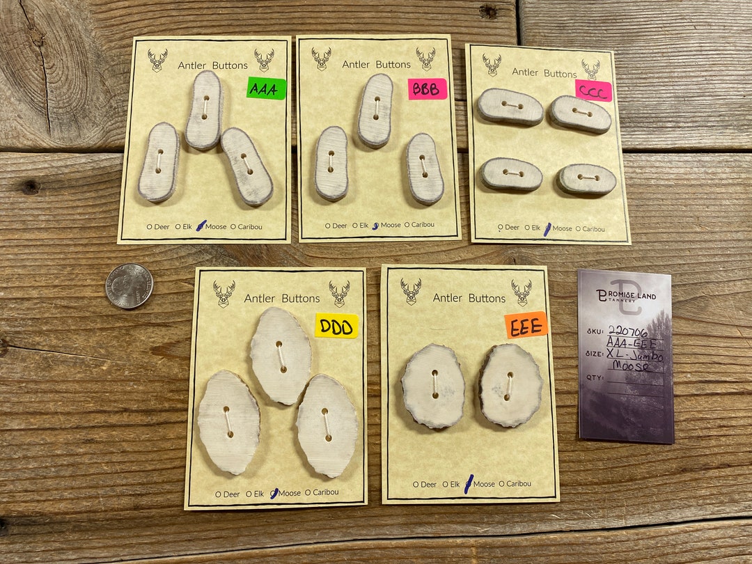 Moose Antler Buttons Extra Large-jumbo Buttons Choice of Card Lot No ...