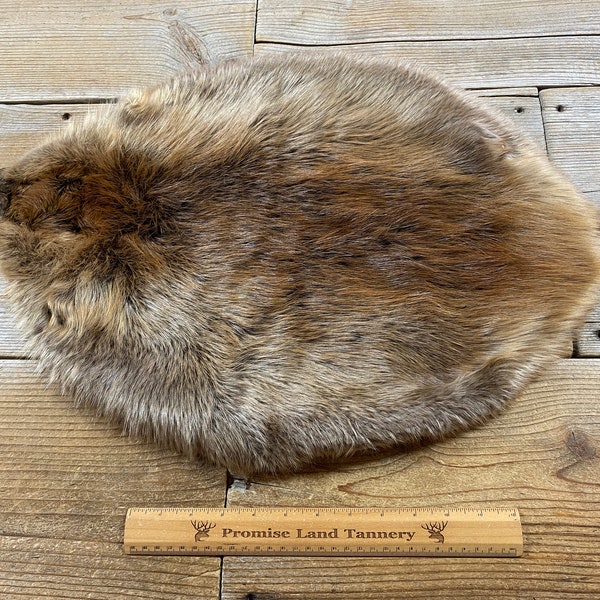 Beaver Pelt - Etsy