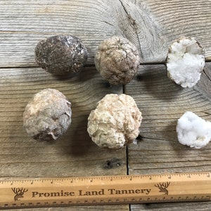 Natural Uncracked Geode Piece - 1 Large Piece - Real Crystal Thunder ...