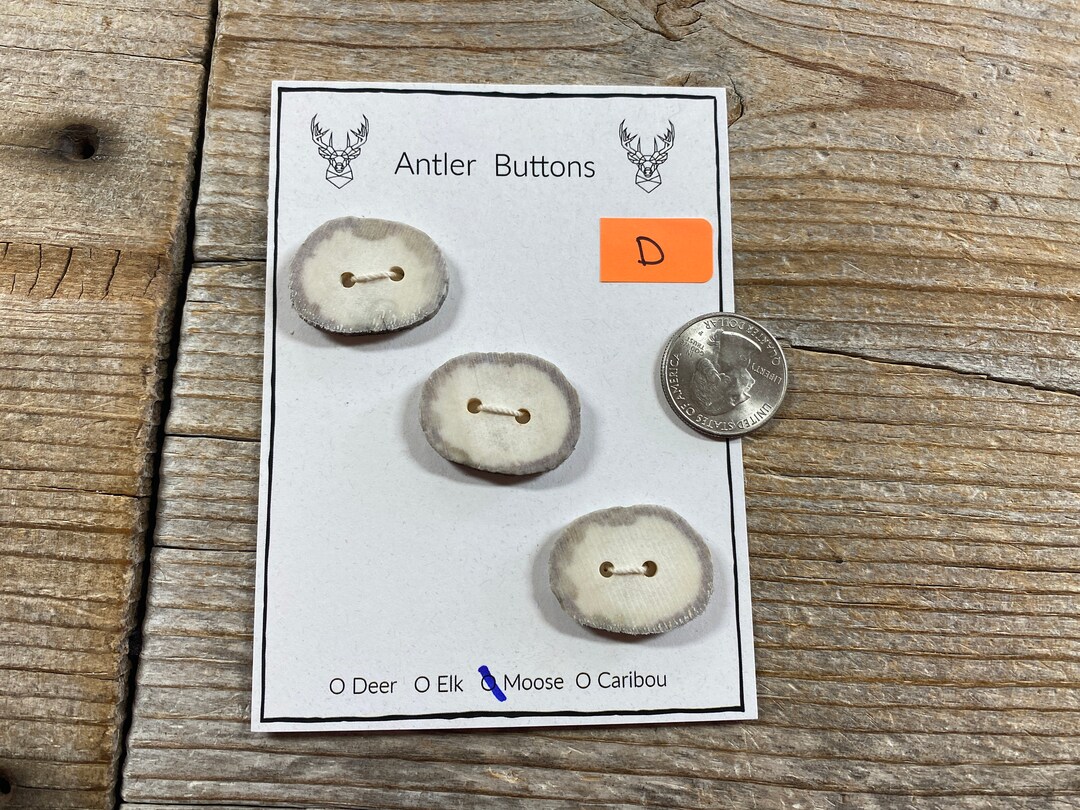 Moose Antler Buttons -3 Large Thin Cut Buttons Lot No. BC220126-D - Etsy