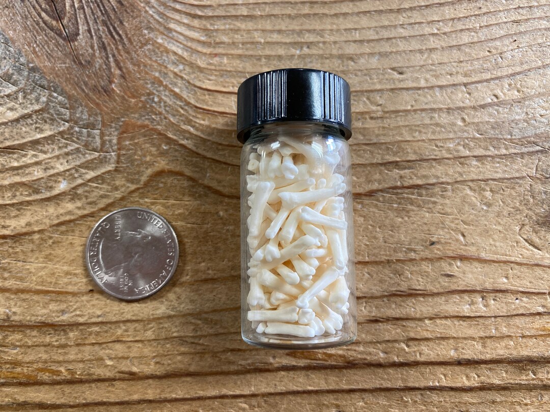 Vial of Muskrat Toe Bones Lot No. 220310-AAA - Etsy