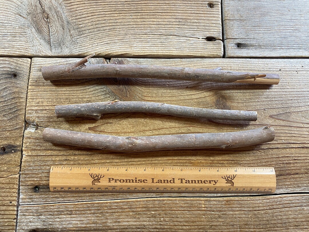 Weeping Willow Limb Wood - 3 Pieces - Medium Diameter Twigs and Sticks ...