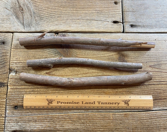 Weeping Willow Limb Wood - 3 Pieces - Medium Diameter Twigs and Sticks ...