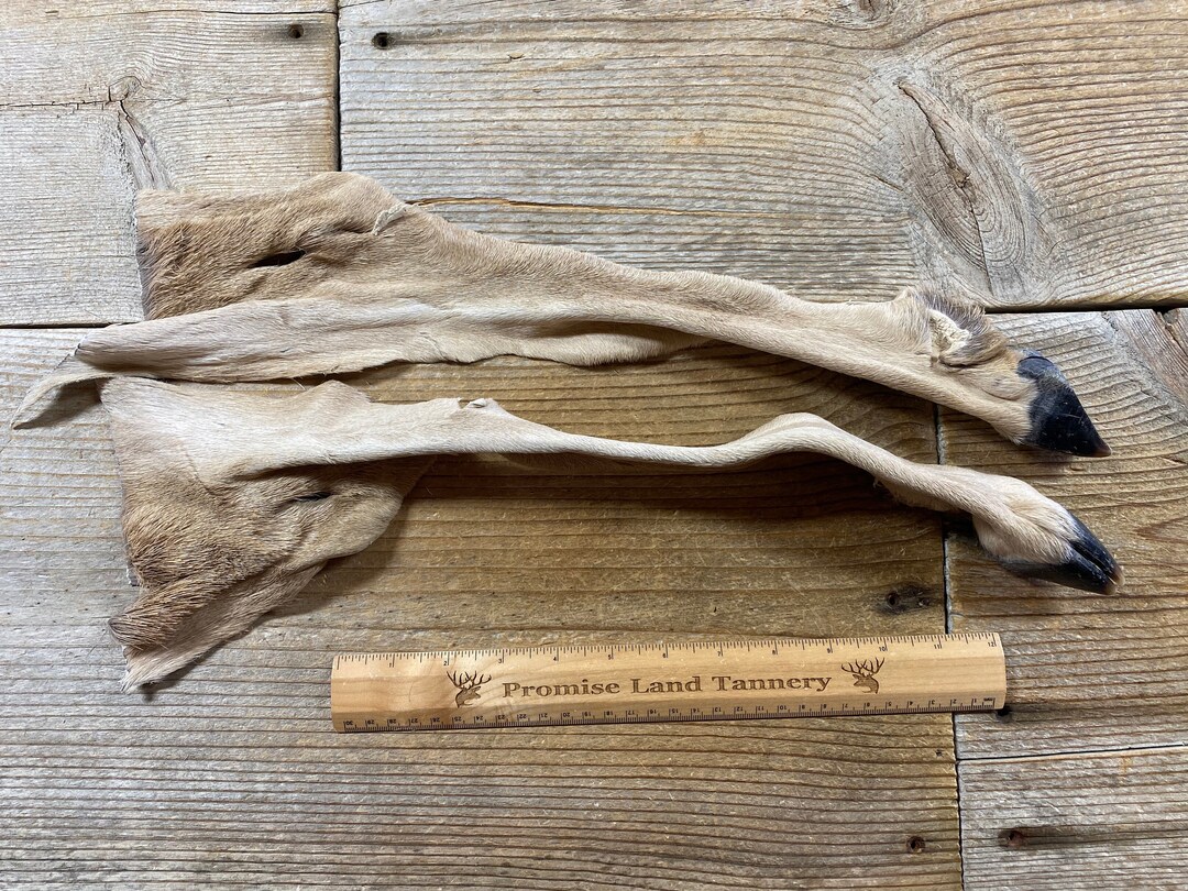 Pair of Pronghorn Antelope Rear Hooves and Leg Skins Craft Quality Dry ...