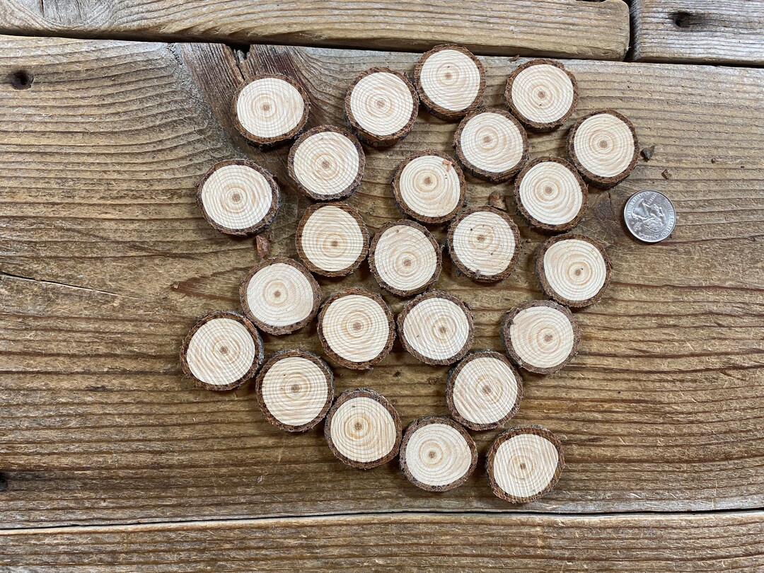 Ponderosa Pine Wood Slices - Bag of 24 Pieces - Rune Set - Lot No ...