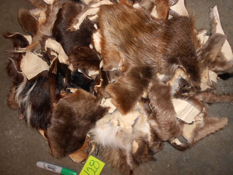 Salvaged Mixed Species Fur Scraps Fox Coyote Beaver and - Etsy
