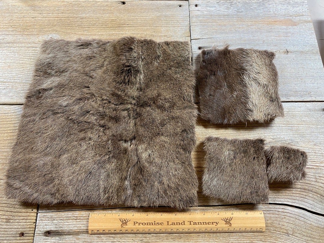 Caribou Hair on Hide Piece - Choice of Size - Stock No. FUR-18 - Etsy