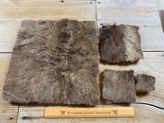 Caribou Hair on Hide Piece Choice of Size Stock No. FUR-18 - Etsy Caribou Hair on Hide Piece Choice of Size Stock No. FUR-18 - Etsy