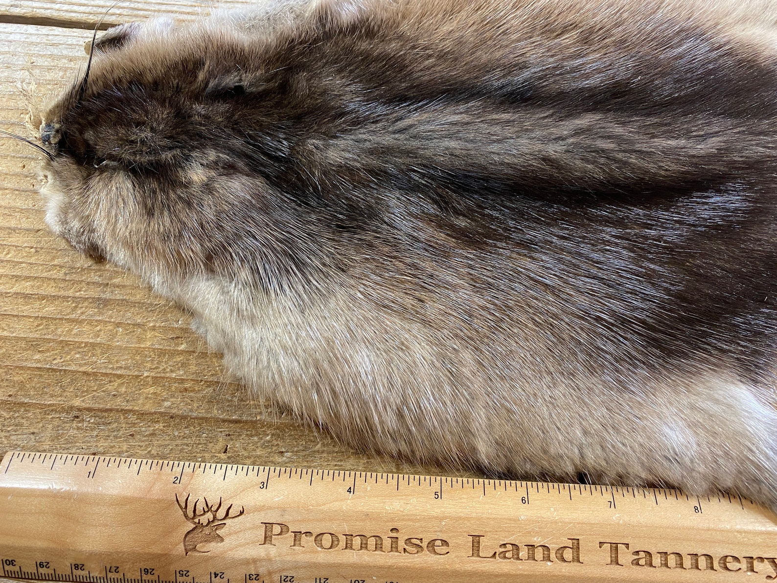 Muskrat Fur Pelt One Small Full Skin Lot No. 210422-UUU - Etsy