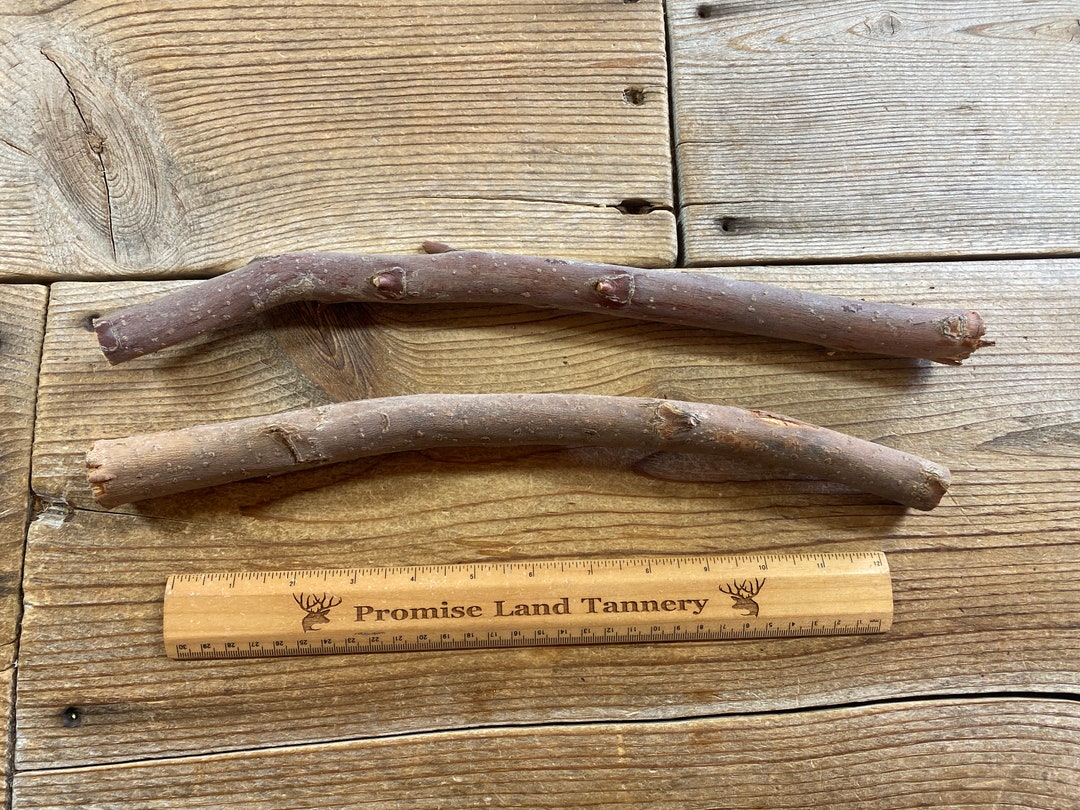 Weeping Willow Limb Wood - 2 Pieces - Medium Diameter Twigs and Sticks ...