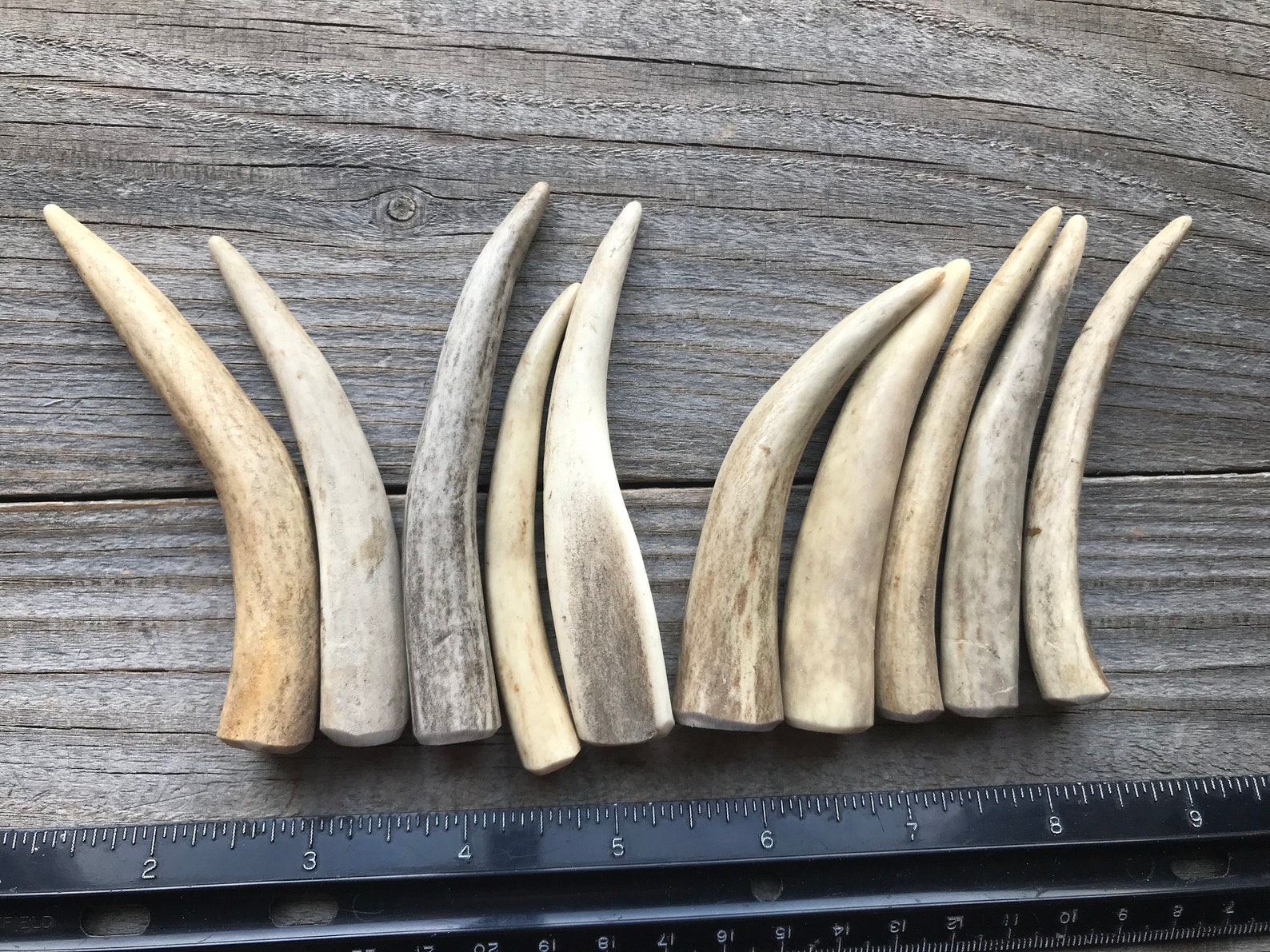 Deer Antler Points 3 1/4 to 4 Inches Drilled Your Way - Etsy