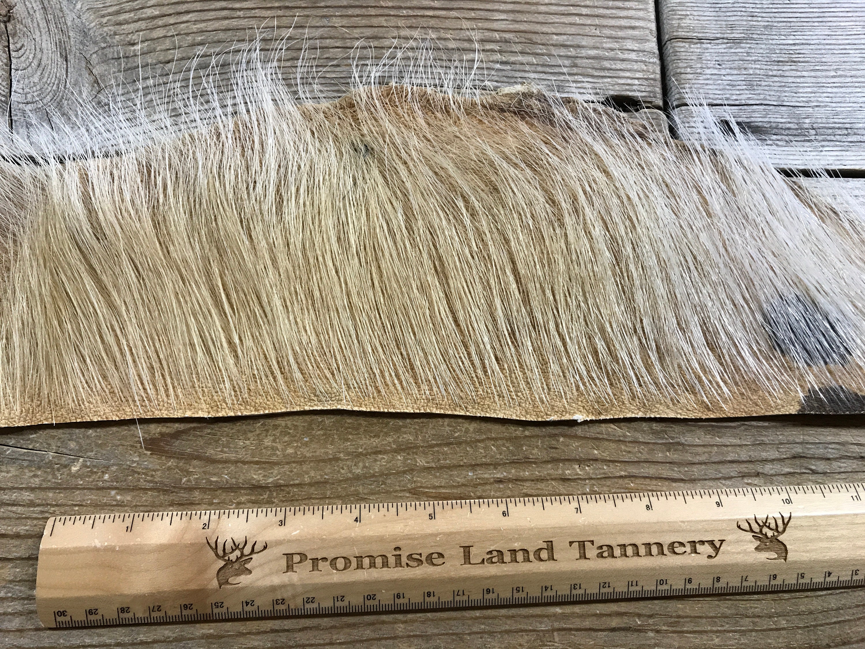 Select Domestic Pig Hide Piece 5 x 17 Inches Lot No. | Etsy