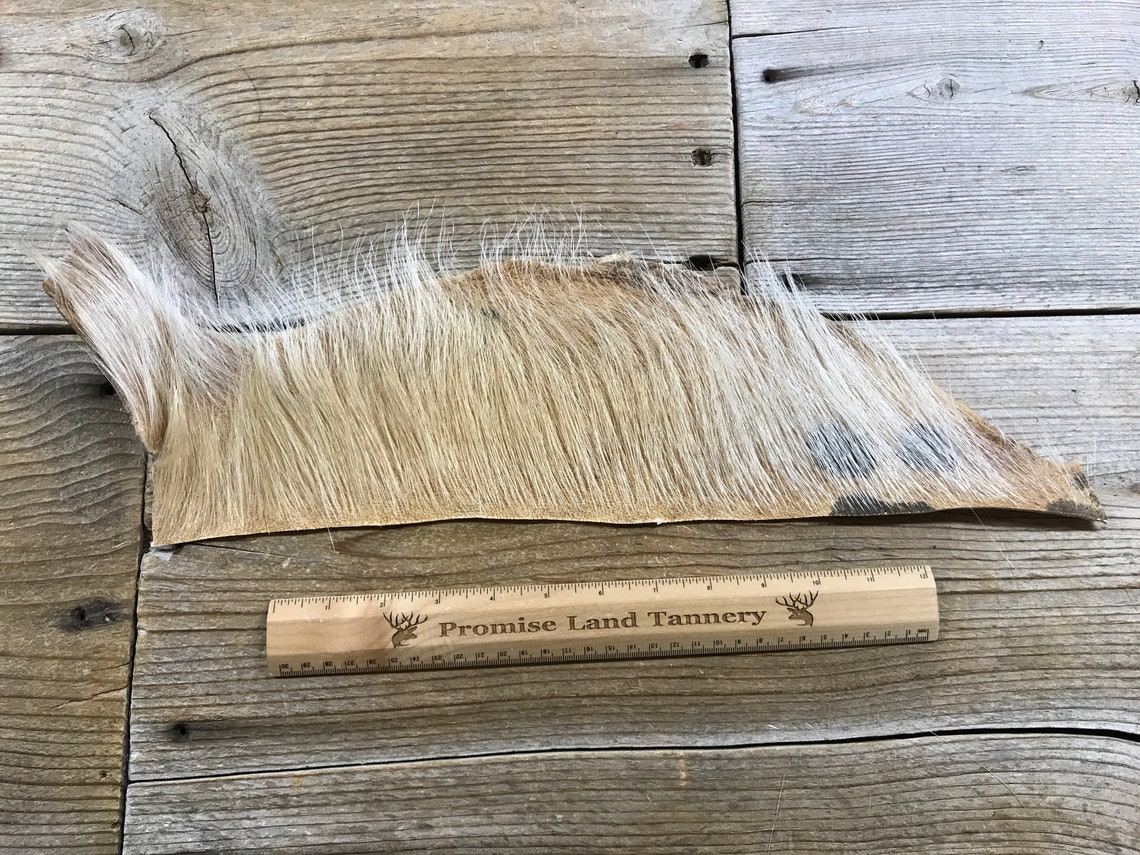 Select Domestic Pig Hide Piece 5 x 17 Inches Lot No. - Etsy.de