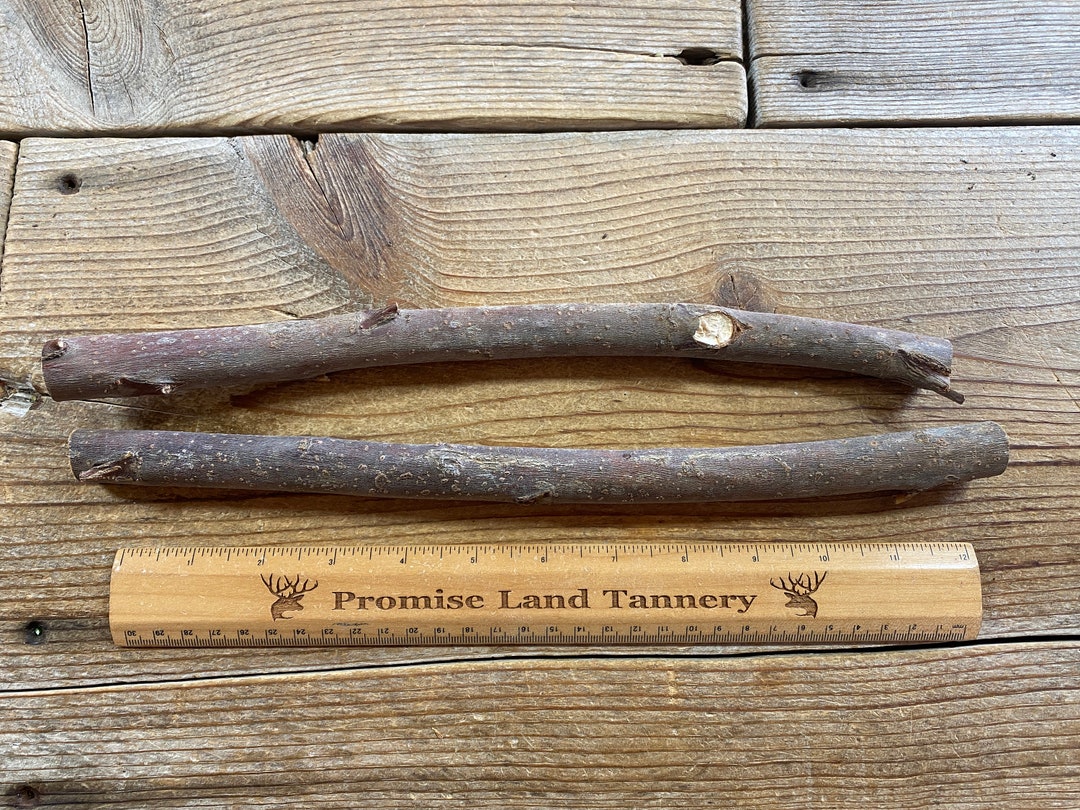 Weeping Willow Limb Wood - 2 Pieces - Medium Diameter Twigs and Sticks ...