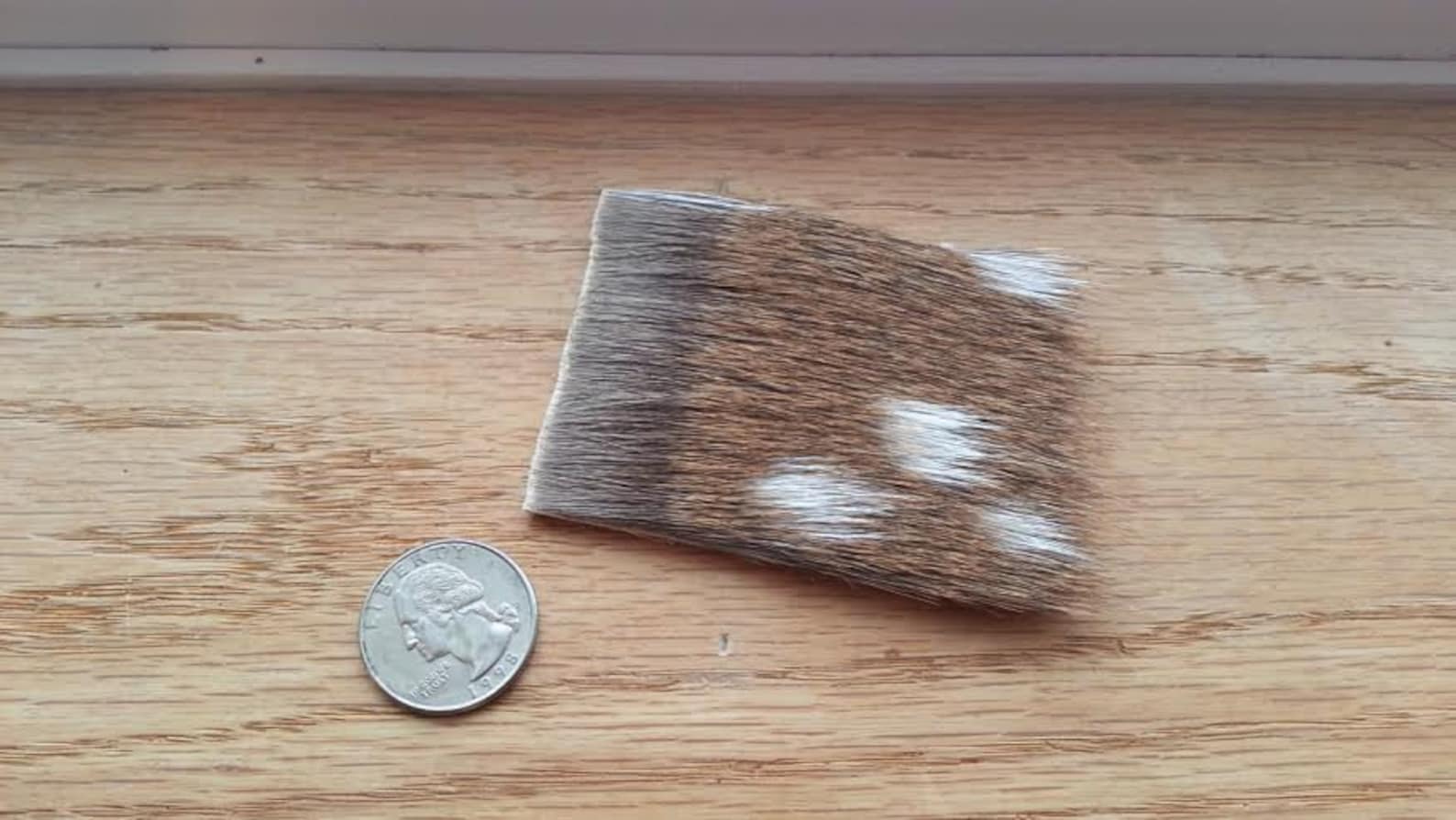 Fur Pieces - Pick Your Species - Exotics, African, North American and ...