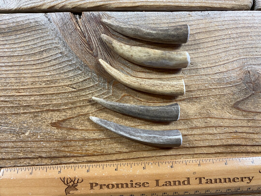 Deer Antler Points - Drilled Your Way - Lot No. 210902-Q - Etsy