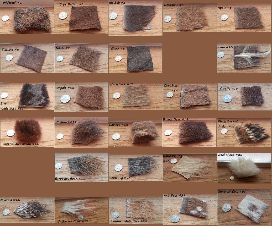 Fur Pieces - Pick Your Species - Exotics, African, North American and ...