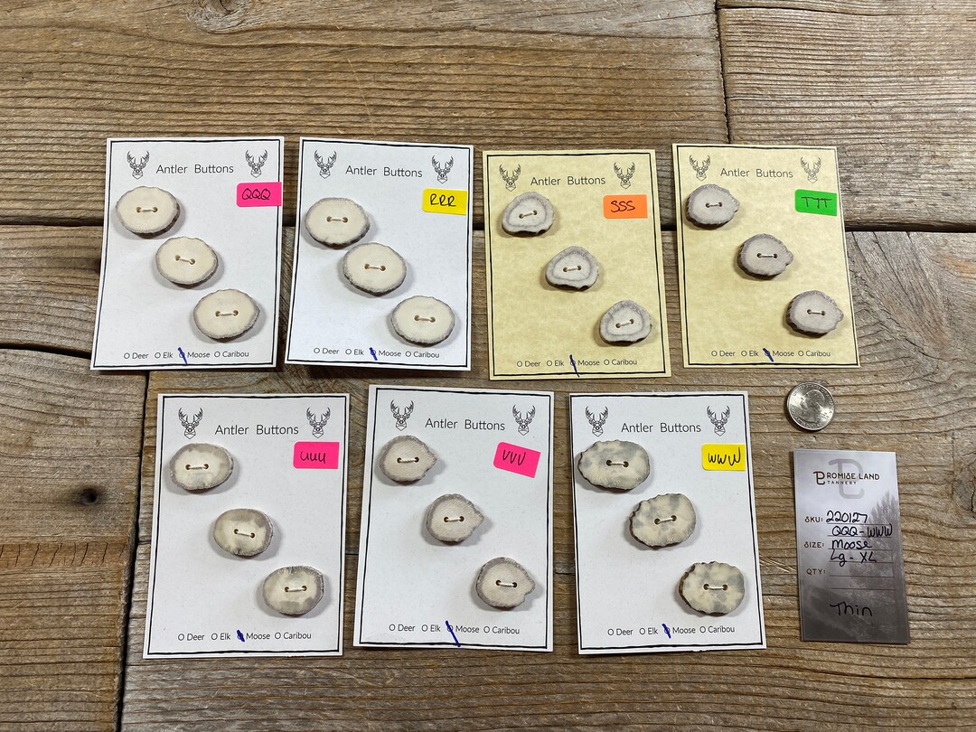 Moose Antler Buttons - Large-extra Large Thin Buttons - Choice of Card ...