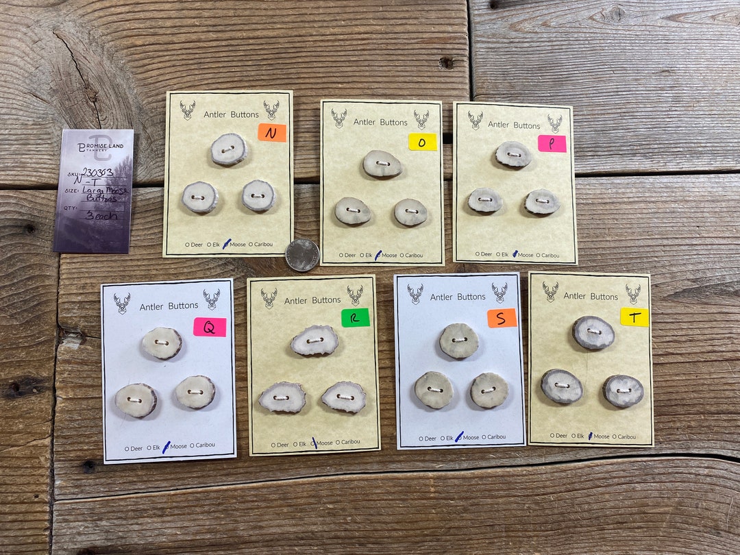 Moose Antler Buttons - Large Buttons - Choice of Card - Lot No ...