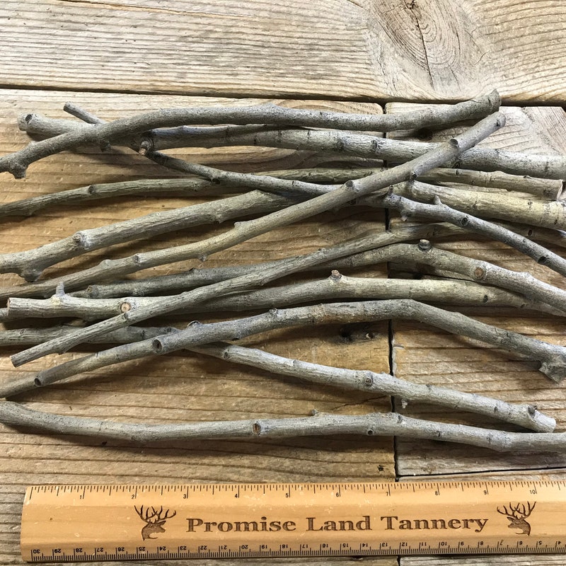 Long Birch Twigs - Etsy