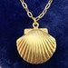 Locket Necklace, Seashell Locket Necklace, Scallop Shell Locket, Locket ...