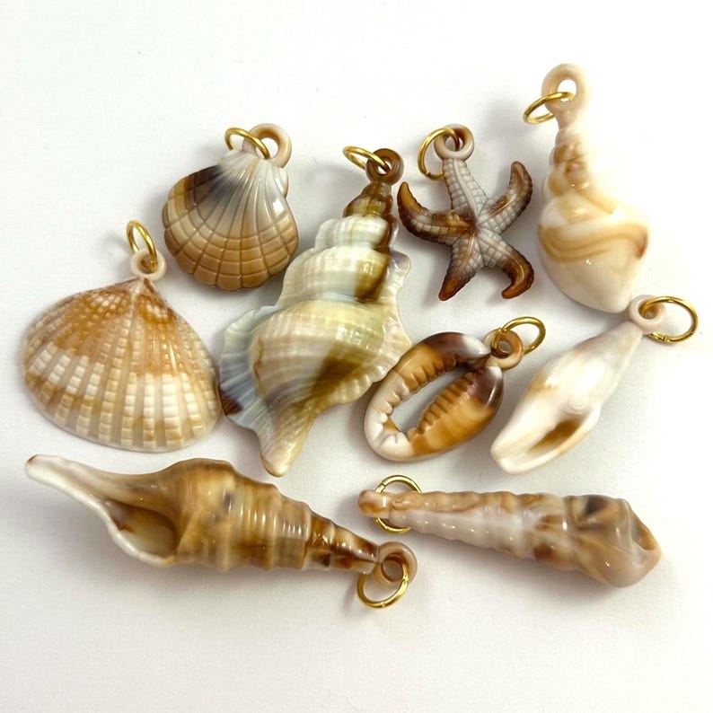 Charm Necklace Pendant Seashell Charms Cream Brown Color Neutral ...