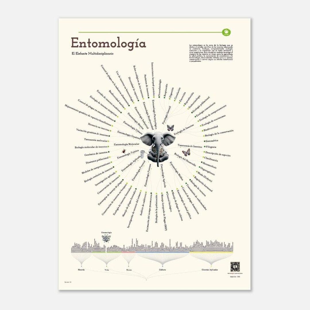 Entomology - the Multidisciplinary Elephant - Educational Chart - Size ...